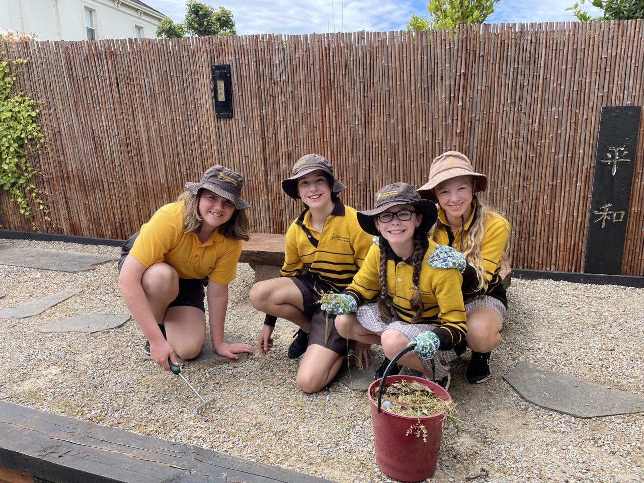LOTE - Warrnambool Primary School